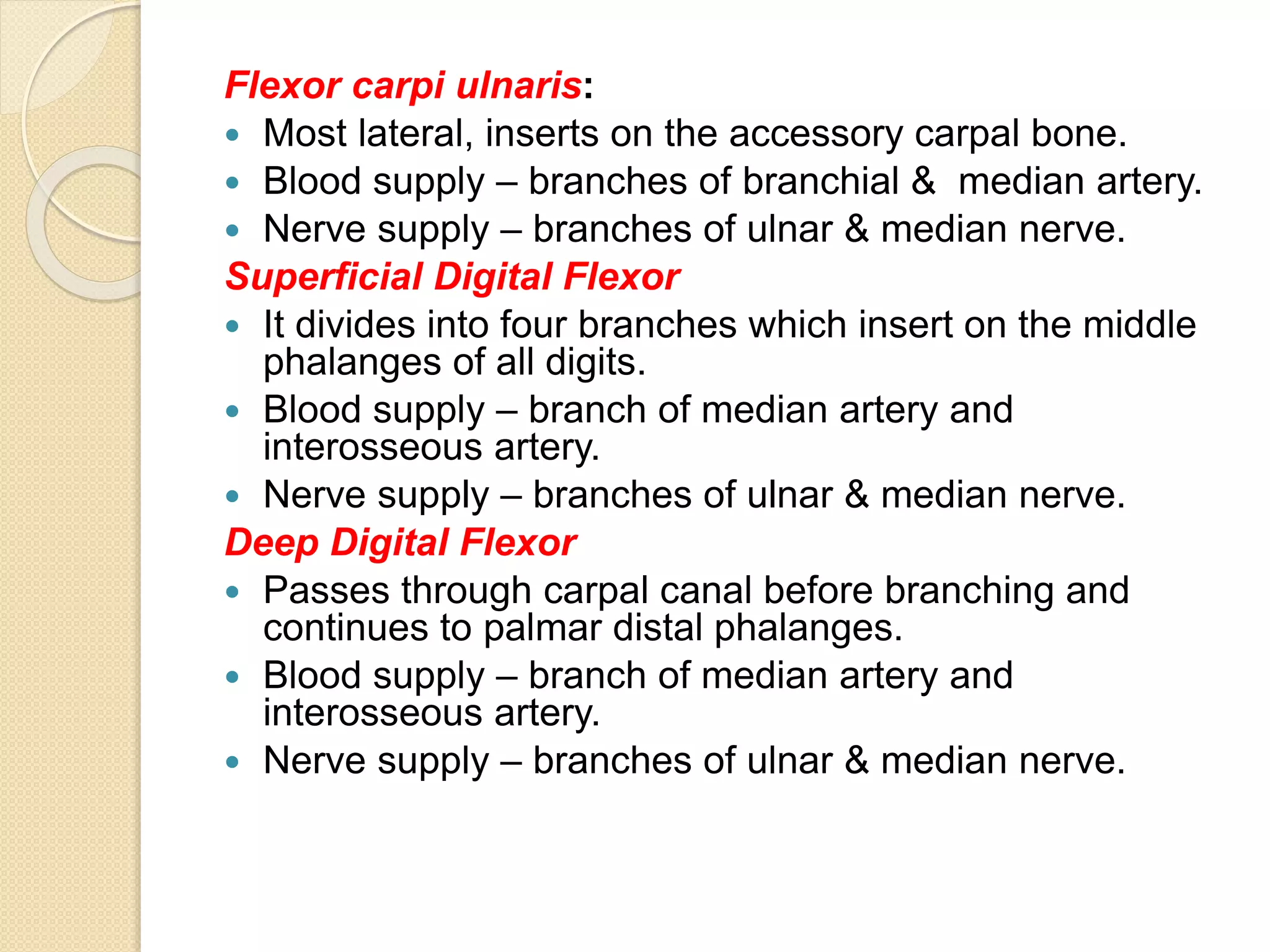 Muscles Of Fore Limb Of Cattle | PPTX