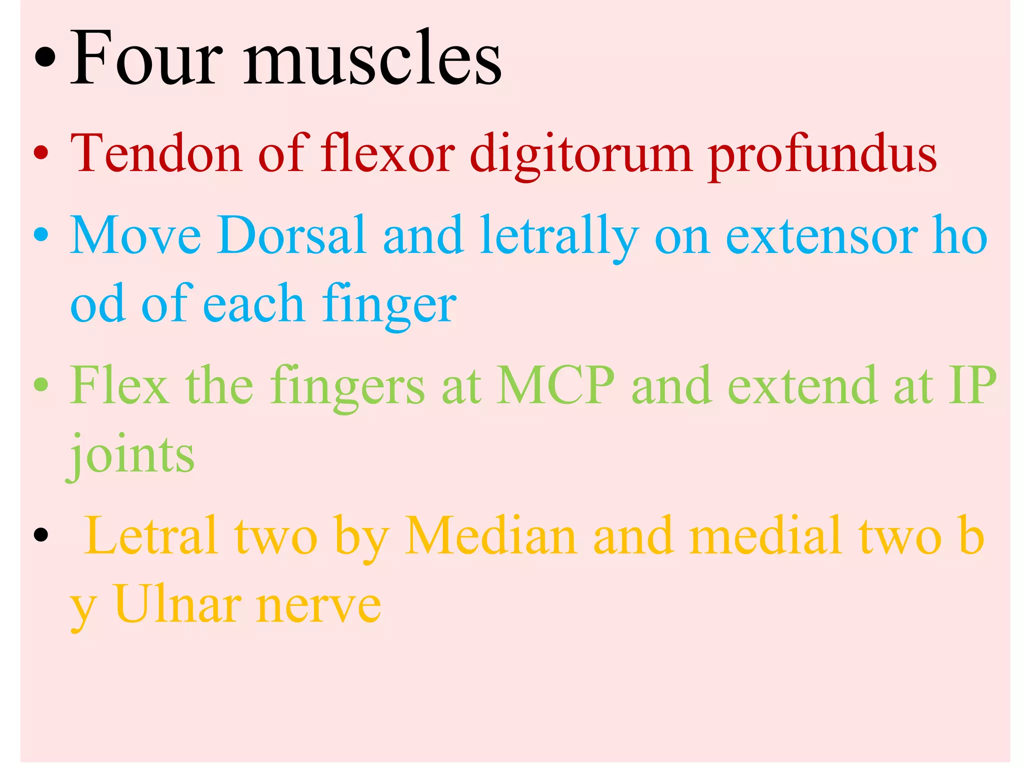 Muscles of hand.pptx