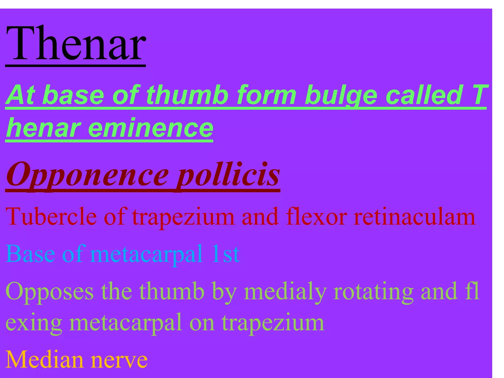 Muscles of hand.pptx