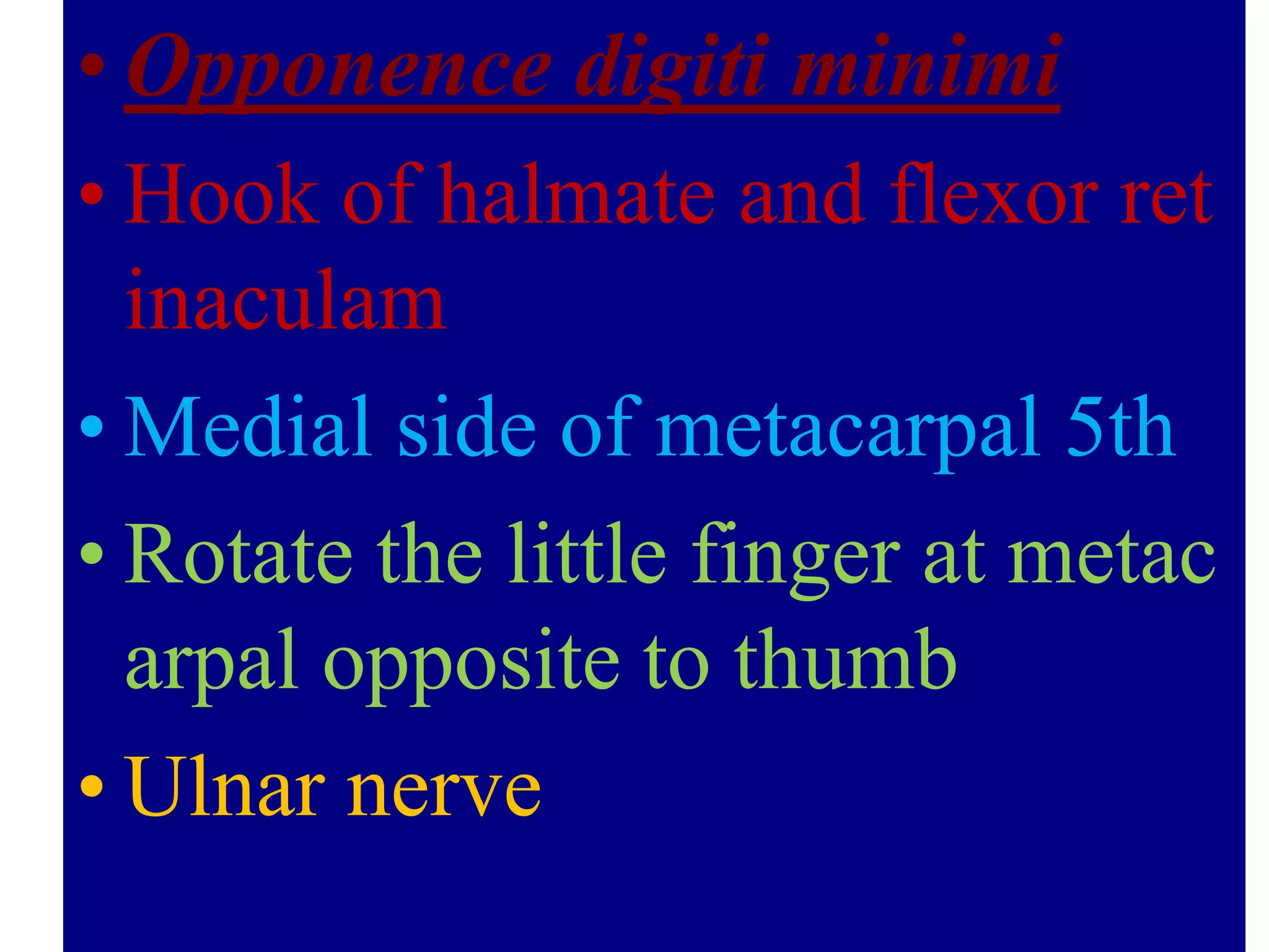 Muscles of hand.pptx