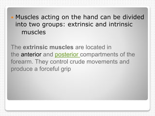 MUSCLES OF HAND.pptx