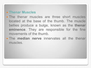 MUSCLES OF HAND.pptx
