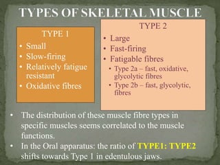 Muscles of head and neck | PPTX