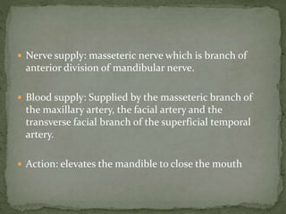 Muscles of head and neck | PPTX