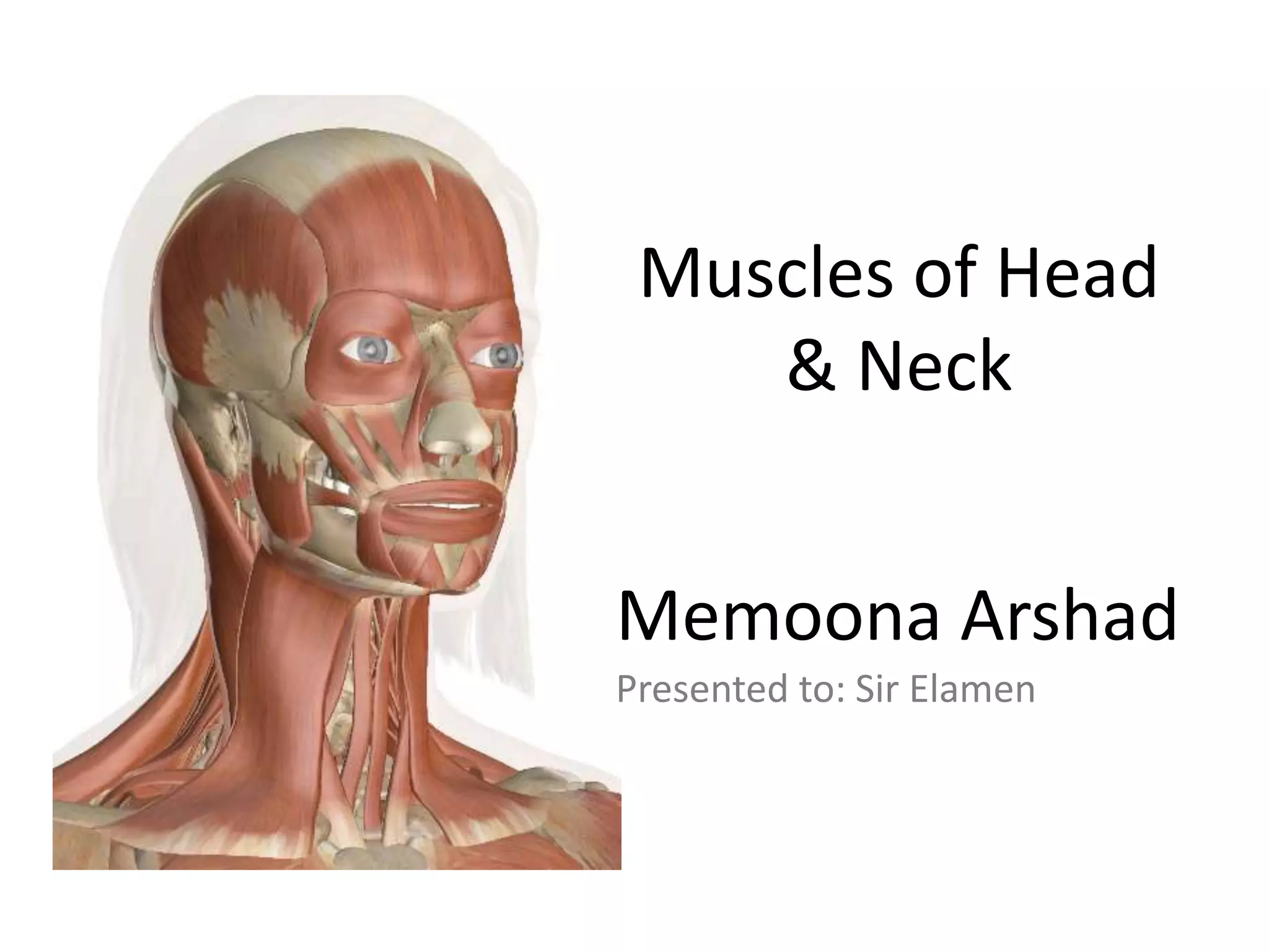 Muscles of head and neck | PPTX