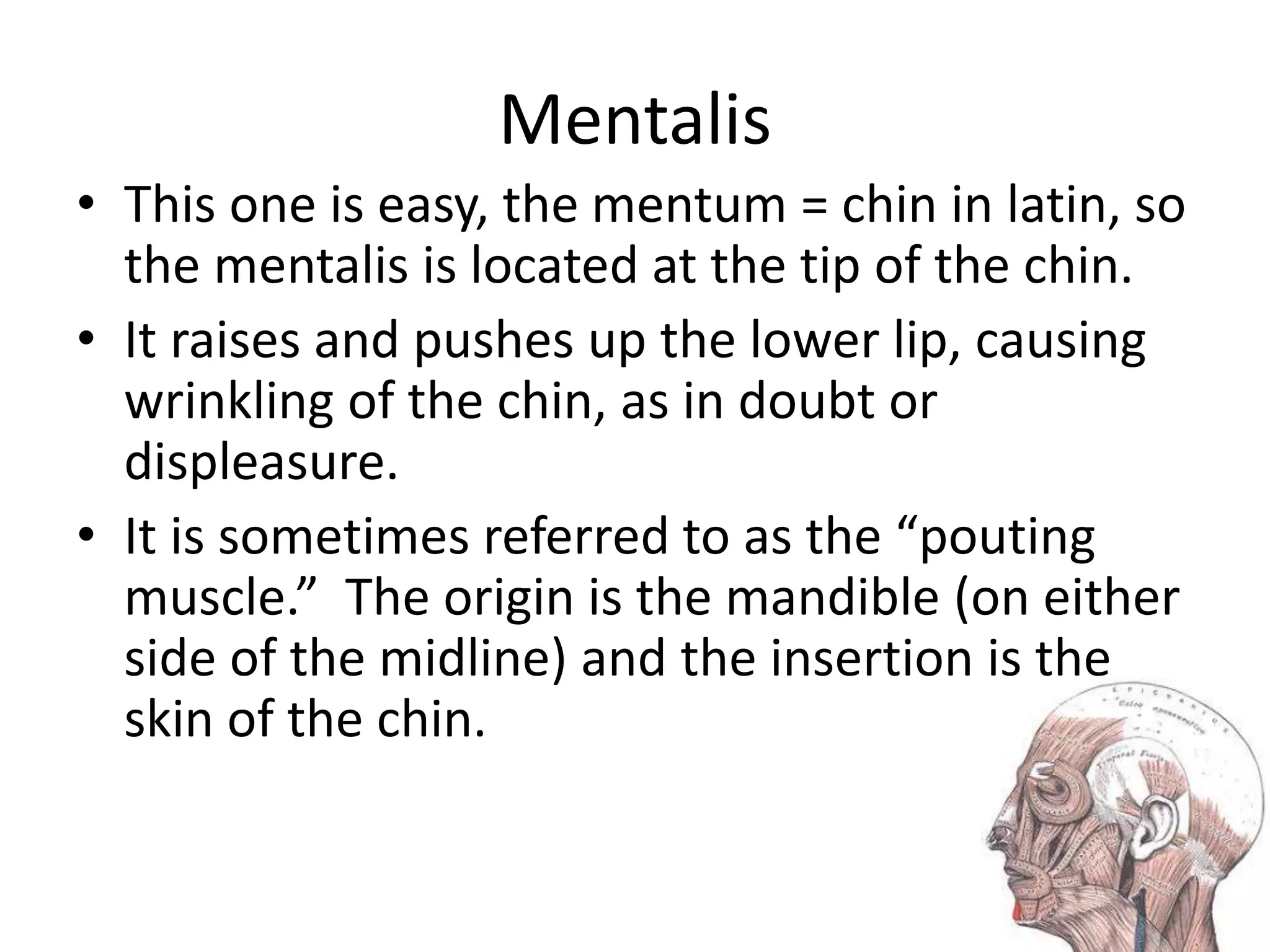 Muscles of head and neck | PPTX