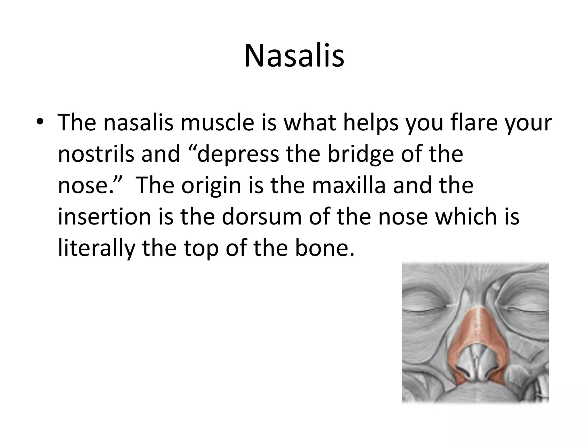 Muscles of head and neck | PPTX