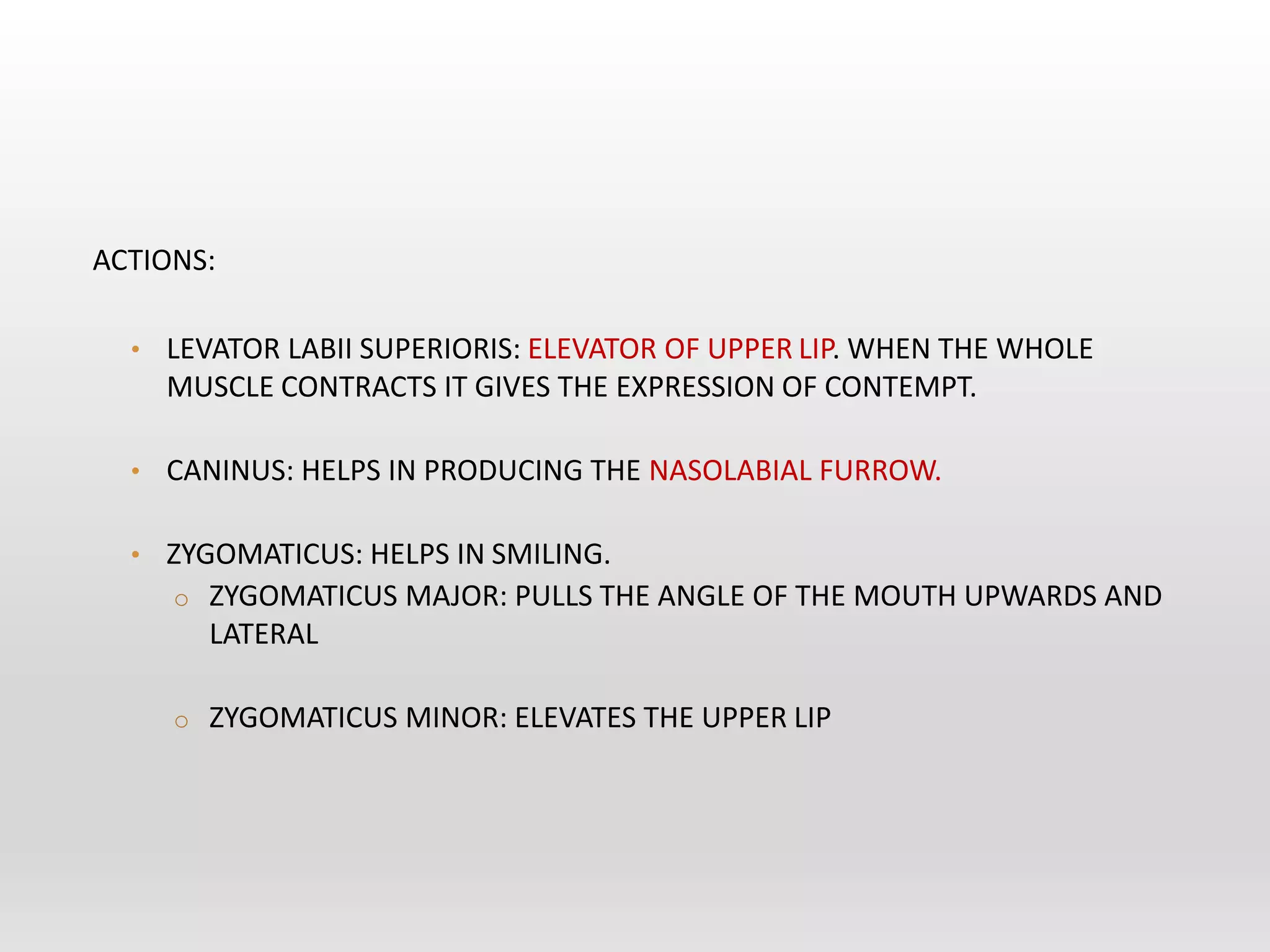 Muscles of Head & Neck | PPTX