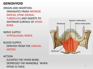 Muscles of Head & Neck | PPTX