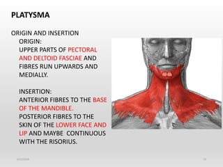 Platysma Origin And Insertion