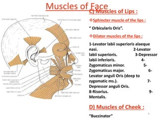 Muscles of head_&_neck[1] | PPTX