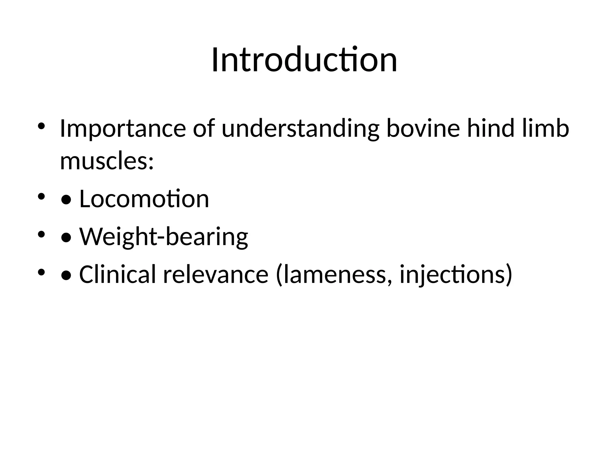 Muscles_of_Hind_Limbs_of_Cattle anatomy.pptx