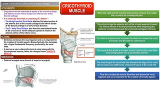 Muscles of larynx | PPTX