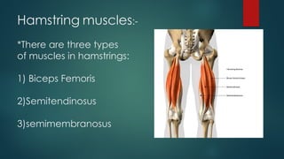 Muscles of lower limb-1.pptx BPT 1 ST YAER | PPT