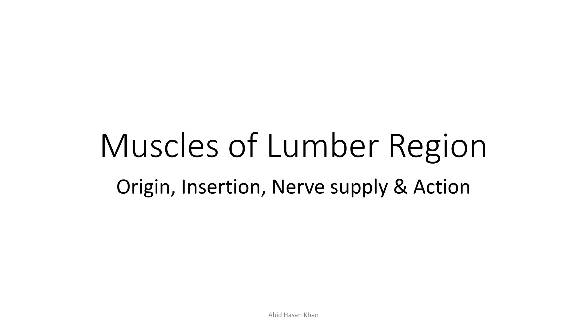 Muscles of lumber region | PPTX