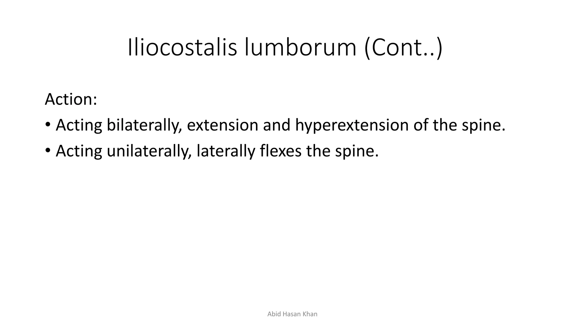 Muscles of lumber region | PPTX