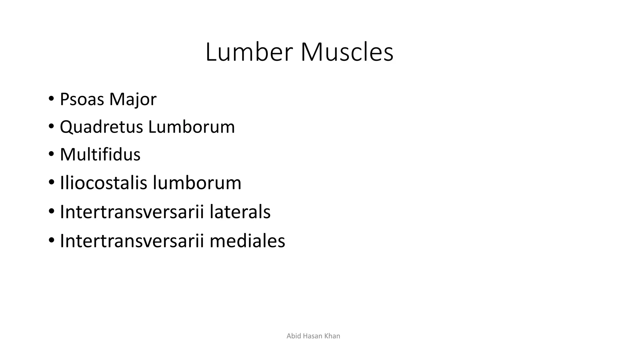 Muscles of lumber region | PPTX