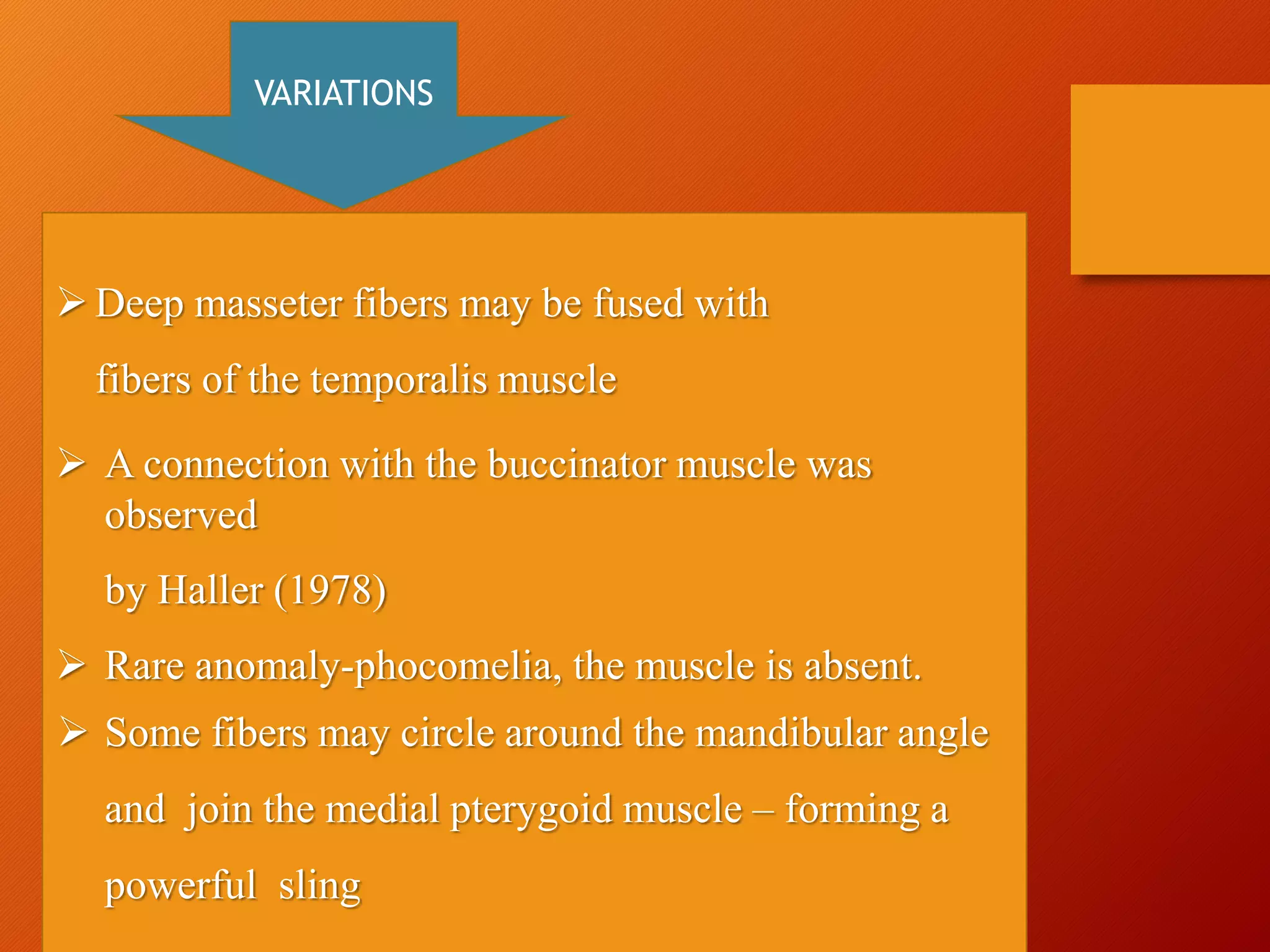 Muscles of masstication s2 | PPT