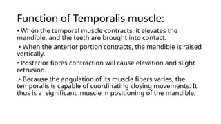 muscles of mastiation and its role in orthodontics | PPTX