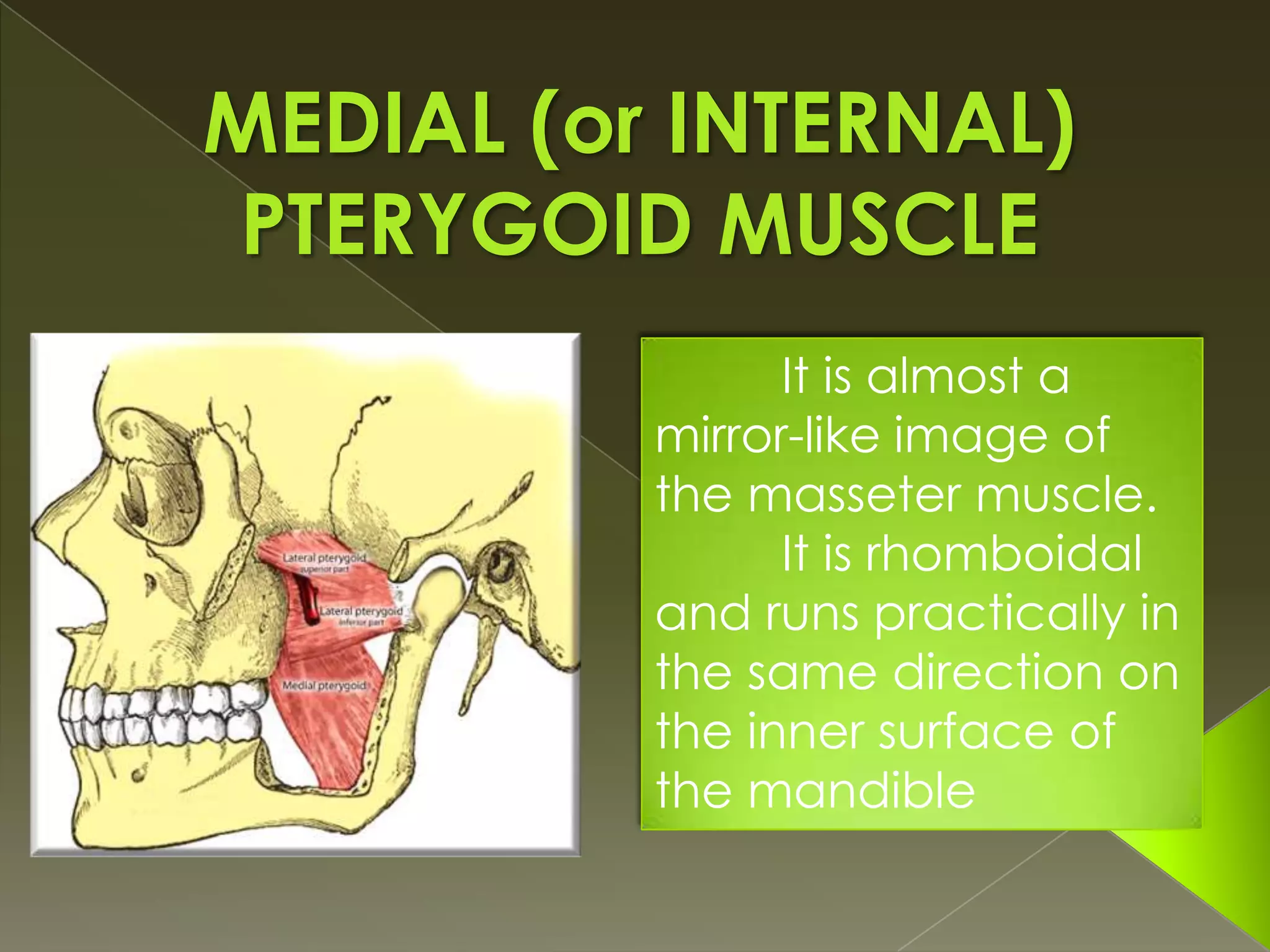 Muscles of mastication | PPTX