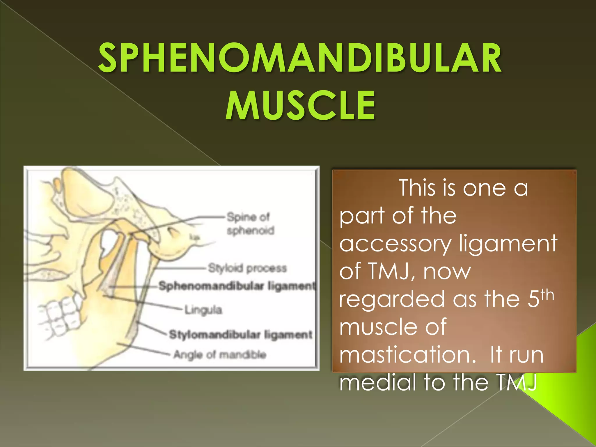 Muscles of mastication | PPTX
