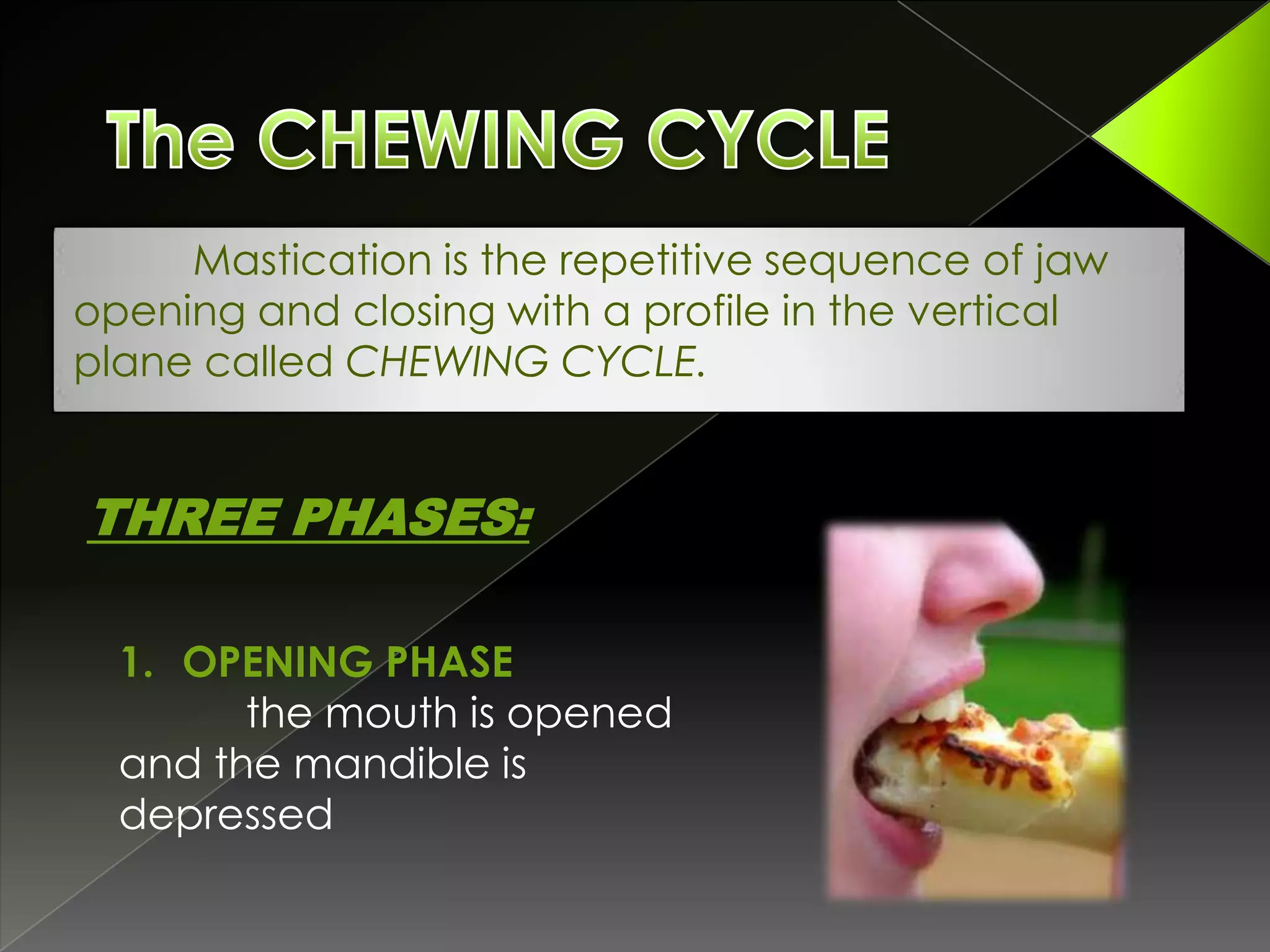Muscles of mastication | PPTX