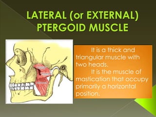 Muscles of mastication | PPTX