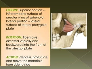Muscles of mastication | PPTX