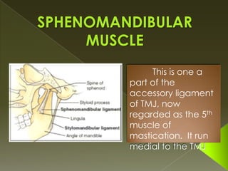 Muscles of mastication | PPT