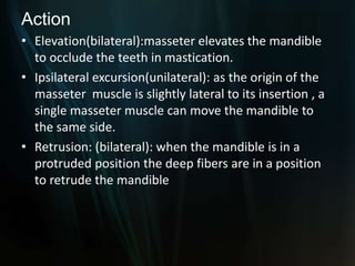 Muscles of mastication | PPT