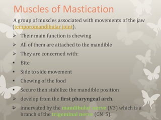 Muscles of mastication | PPTX