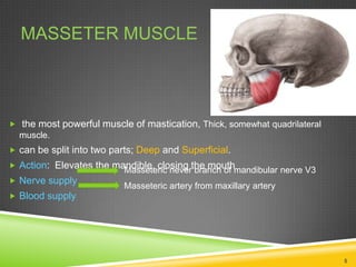 Muscles of mastication | PPTX