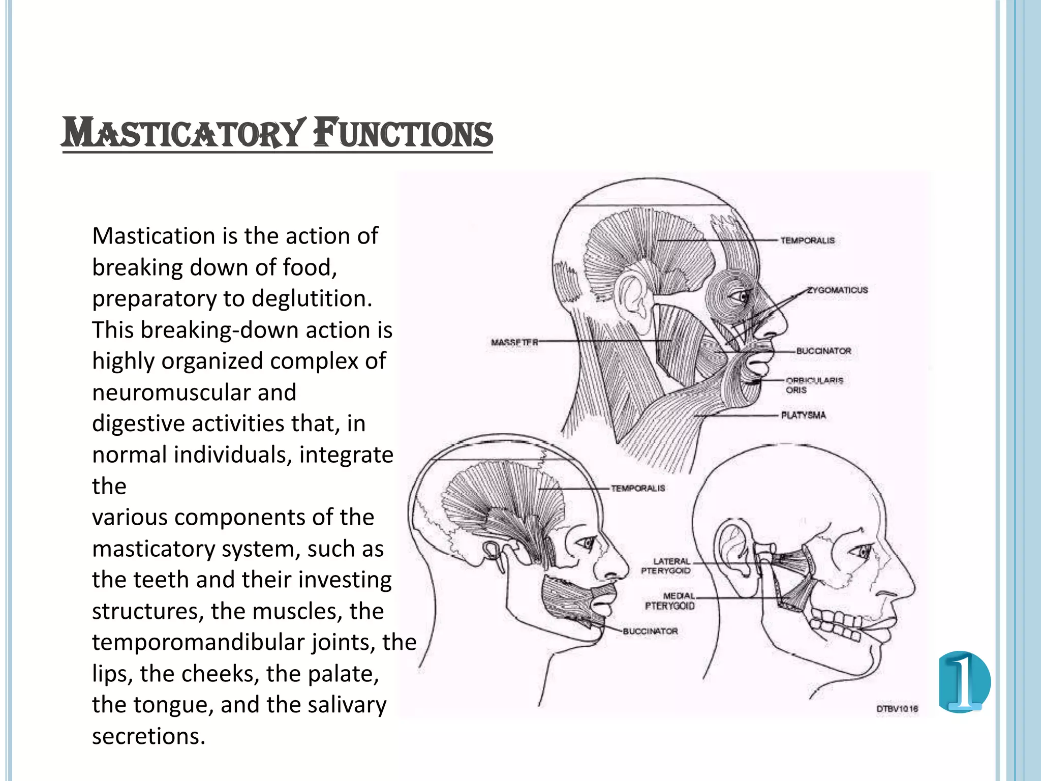 Muscles of mastication | PPTX