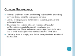 Muscles of mastication | PPTX