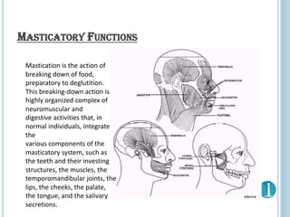 Muscles of mastication | PPT