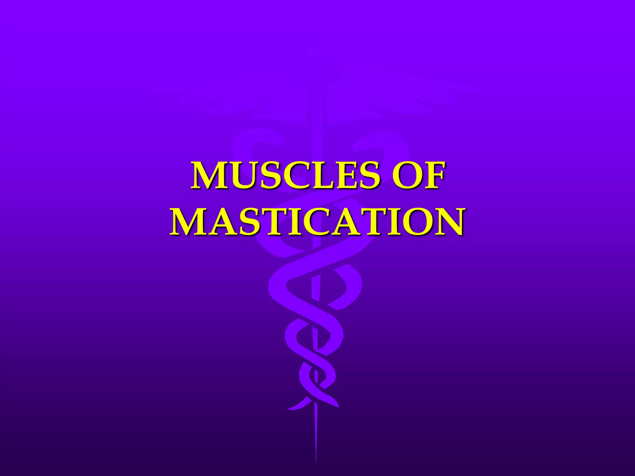 Muscles of mastication | PPT