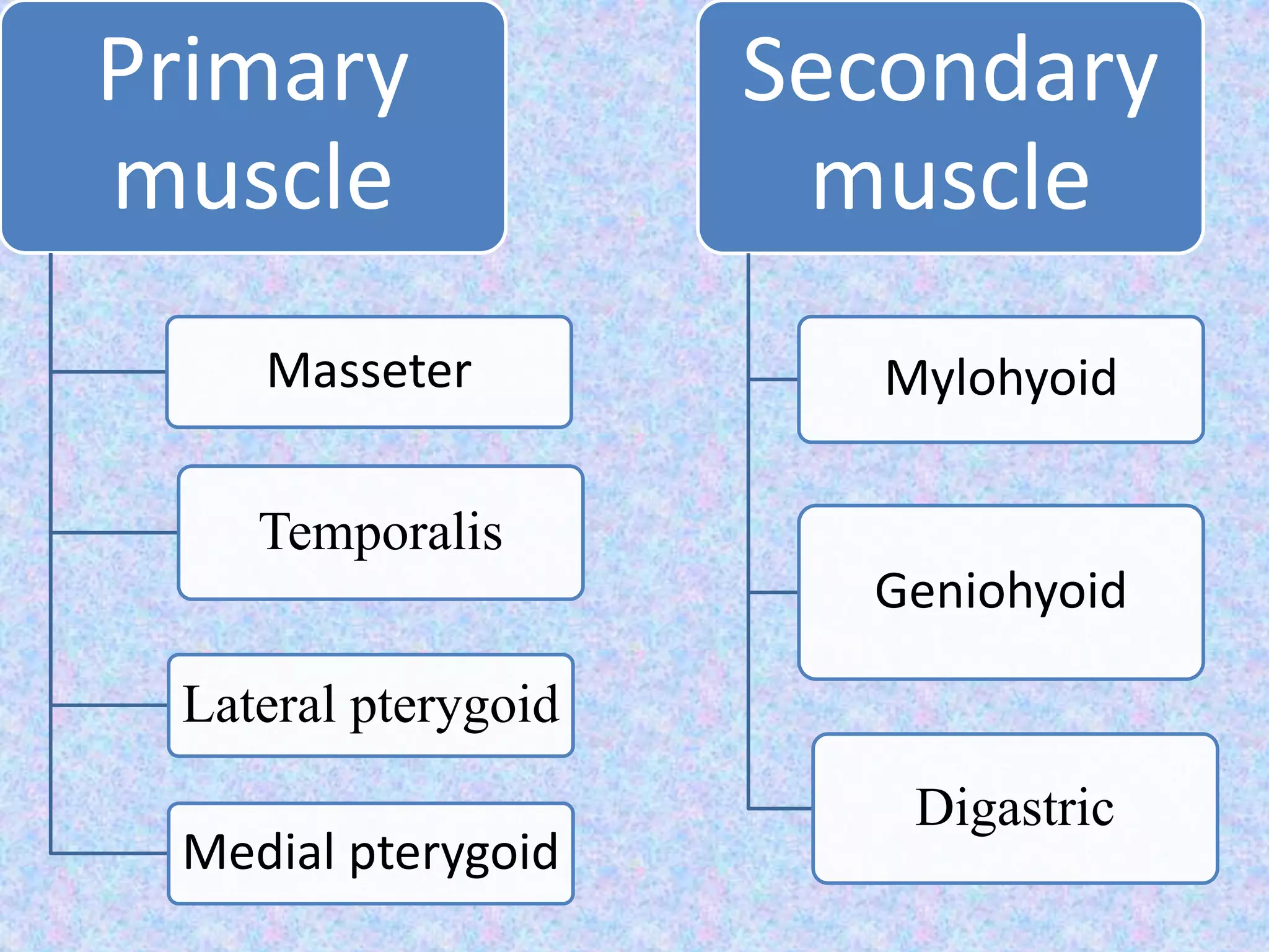 Muscles of mastication.ppt