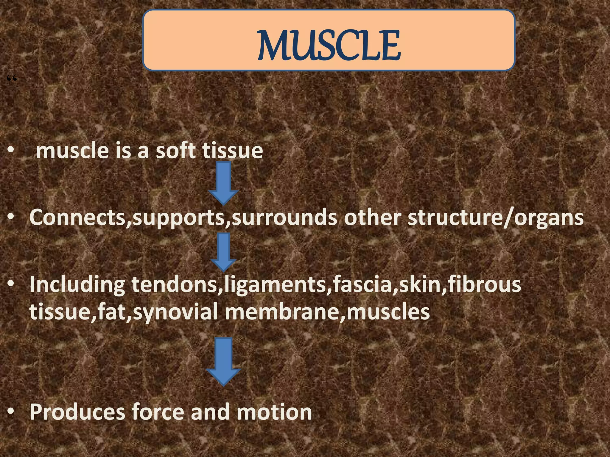 Muscles of mastication.ppt
