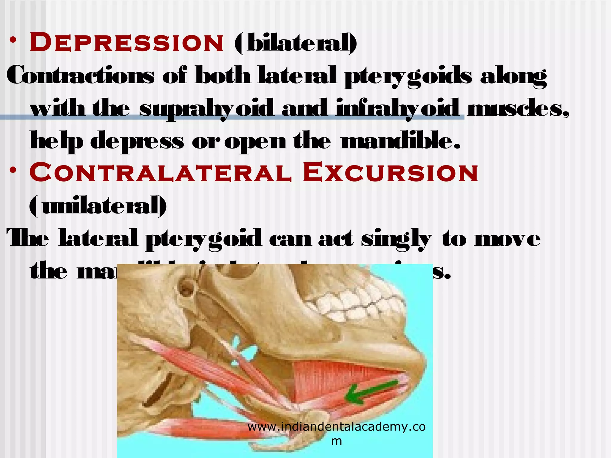 Muscles of mastication.ppt/certified fixed orthodontic courses by ...
