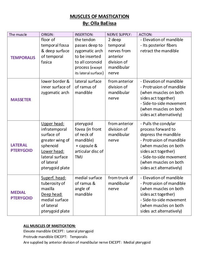 BDS level 4 _ Muscles of mastication