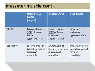 Muscles of mastication | PPTX