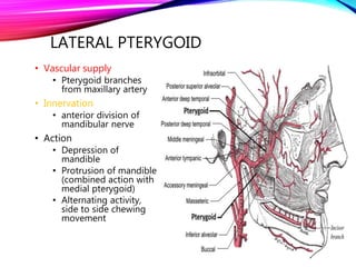 Muscles of mastication | PPTX