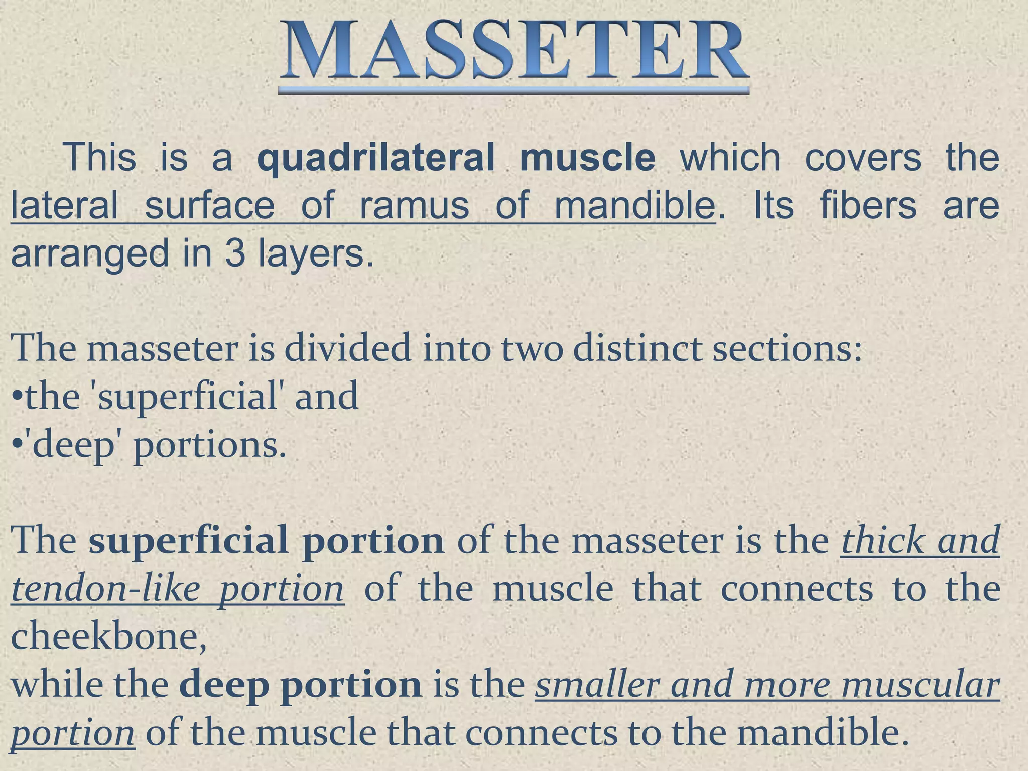 Muscles of mastication | PPTX