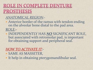 Muscles of mastication | PPTX
