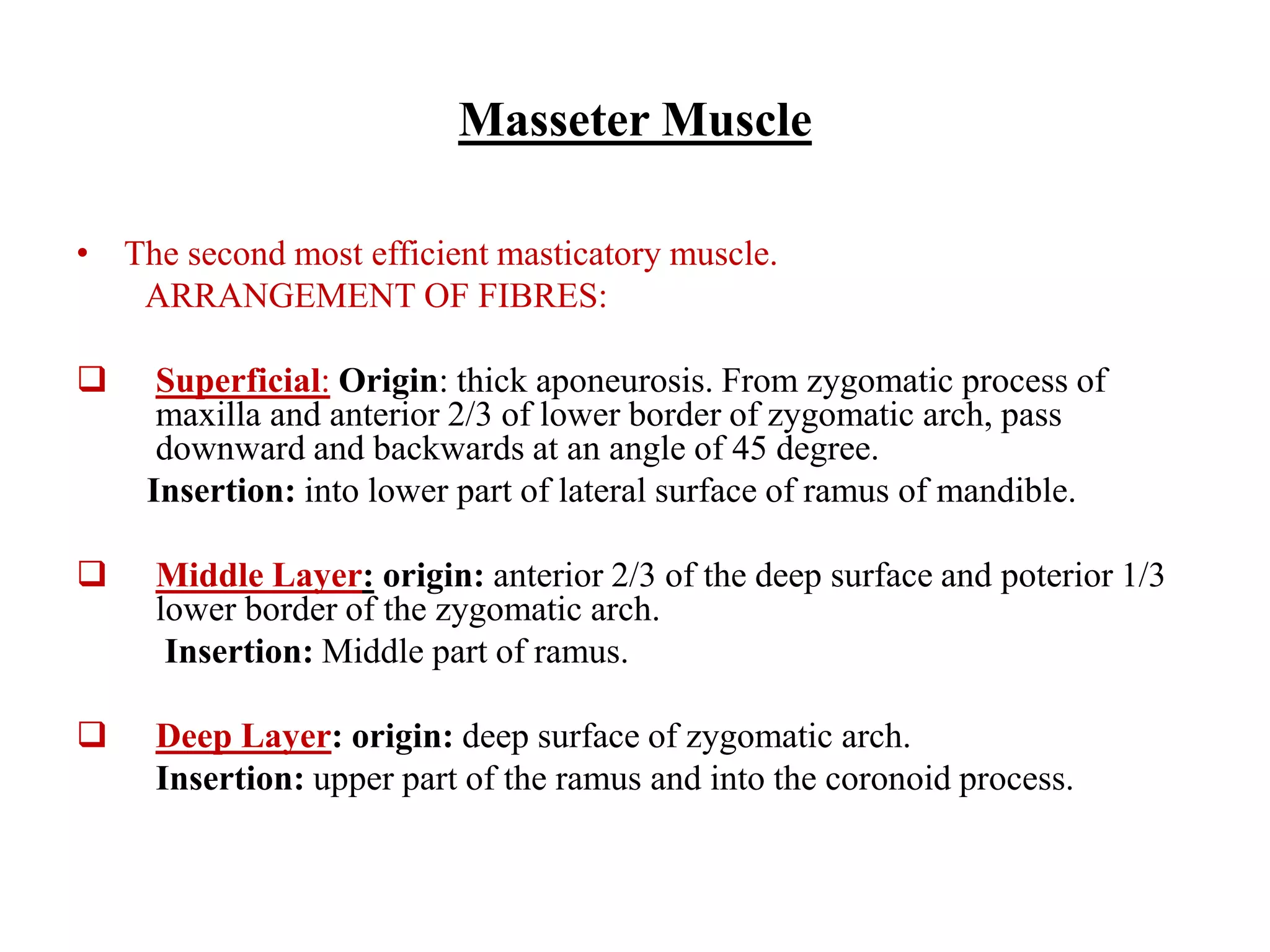 Muscles of mastication | PPTX