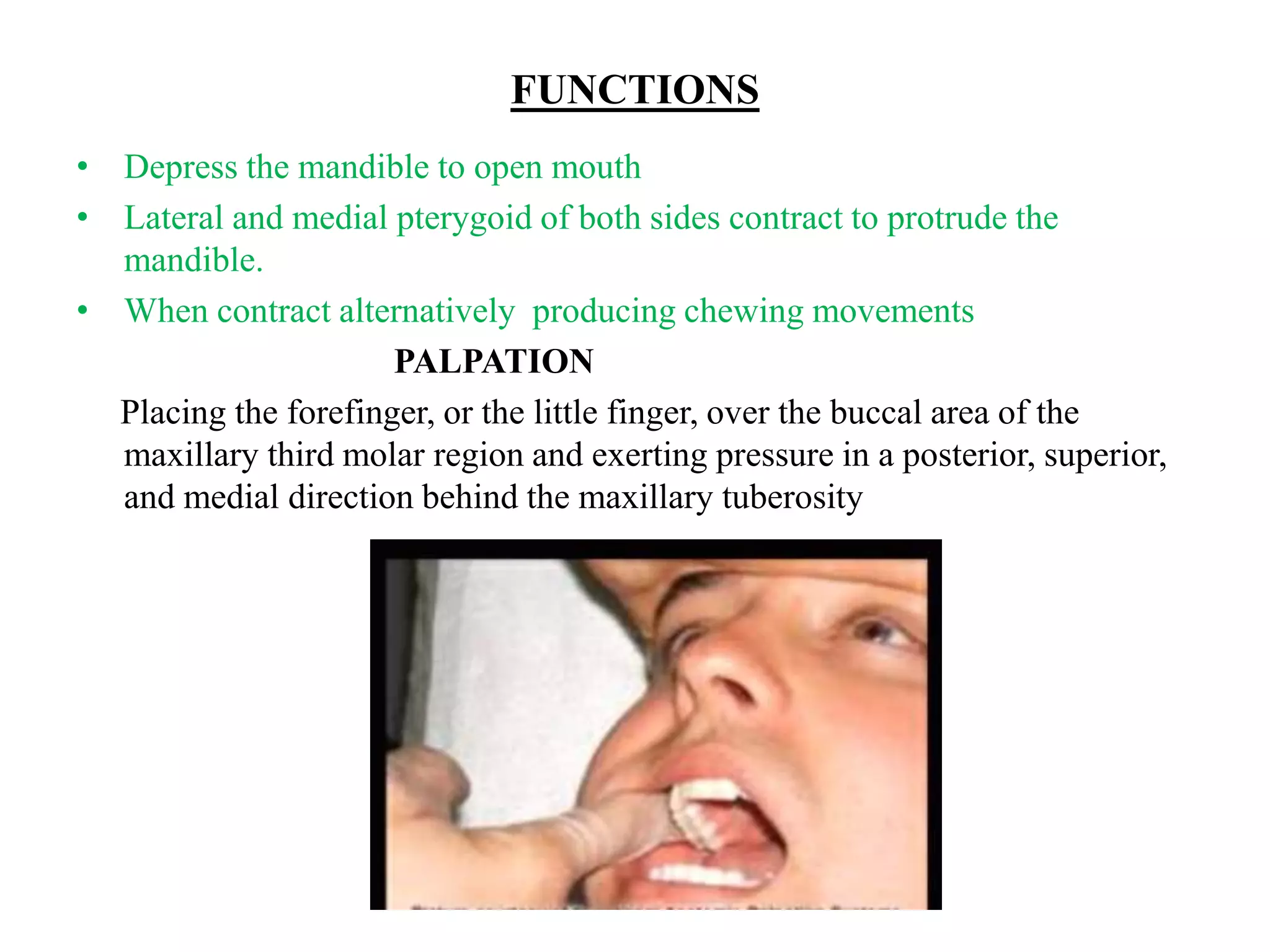 Muscles of mastication | PPTX