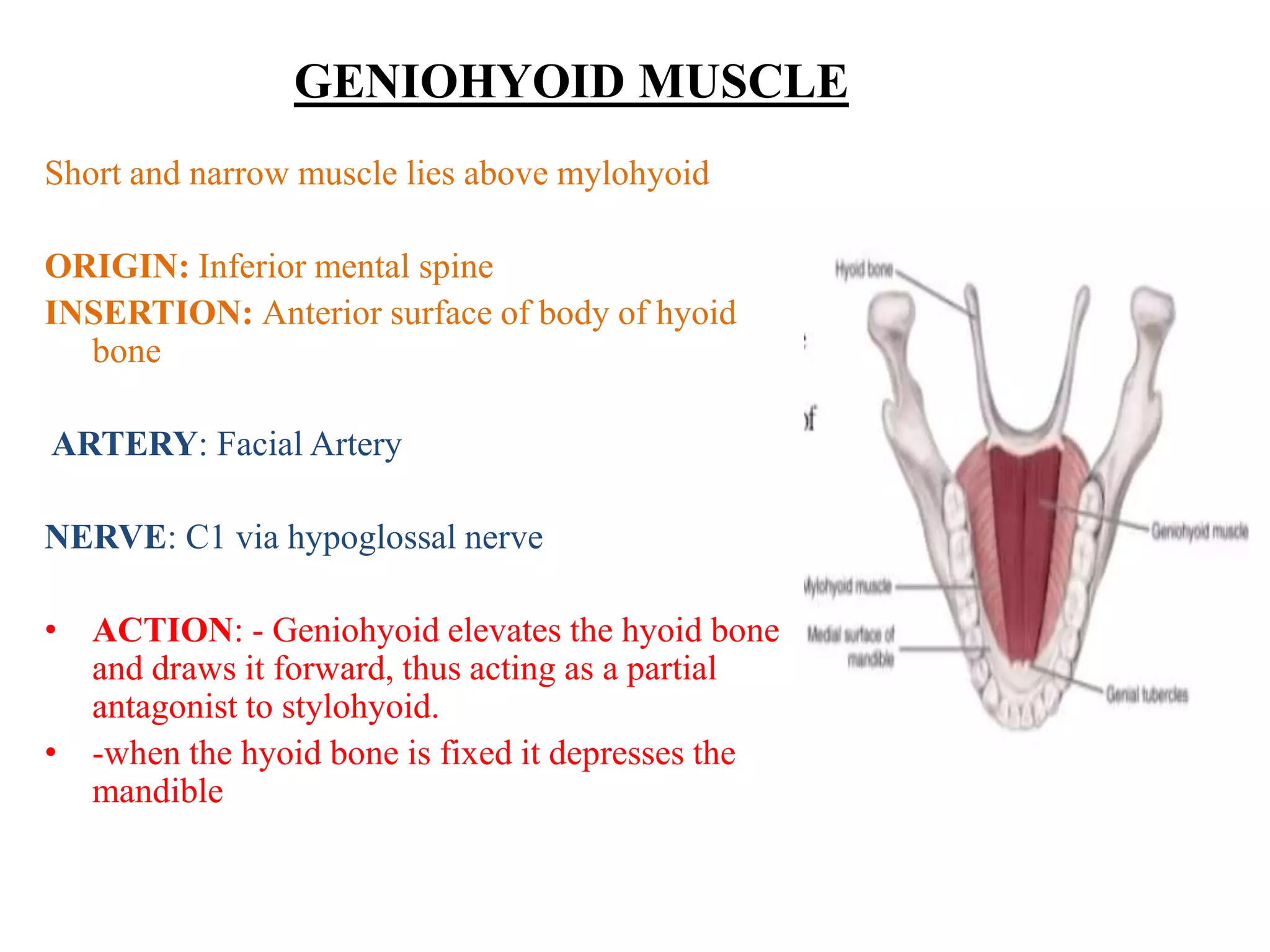 Muscles of mastication | PPTX