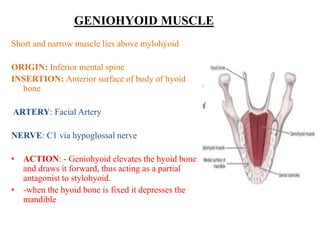 Muscles of mastication | PPTX