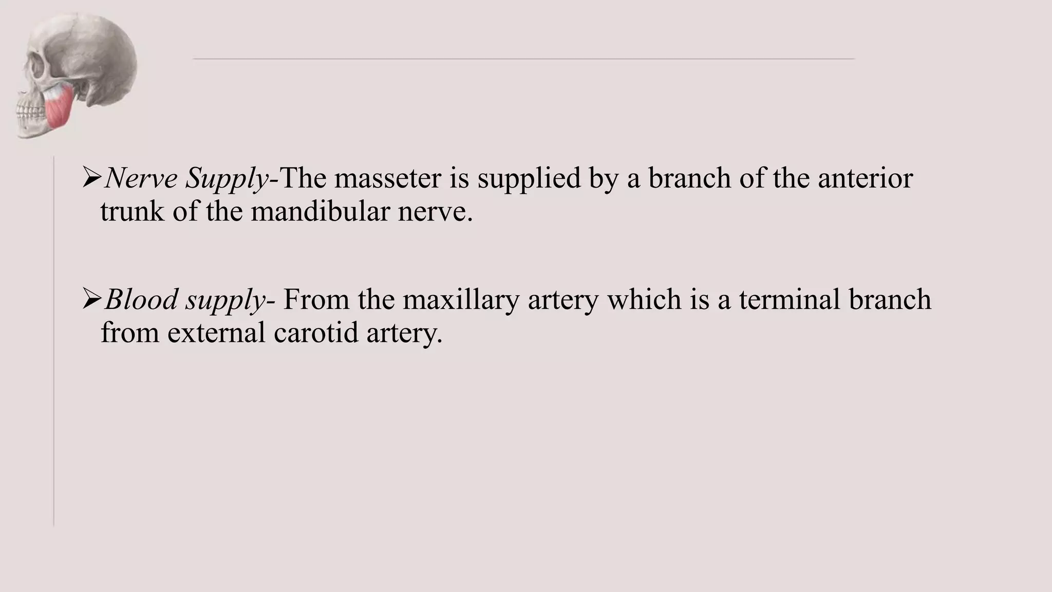 Muscles of mastication | PPTX