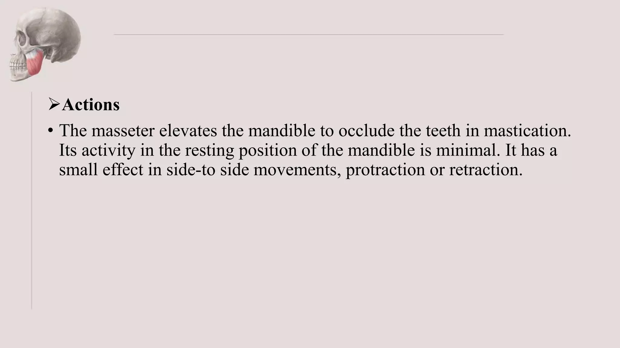Muscles of mastication | PPTX